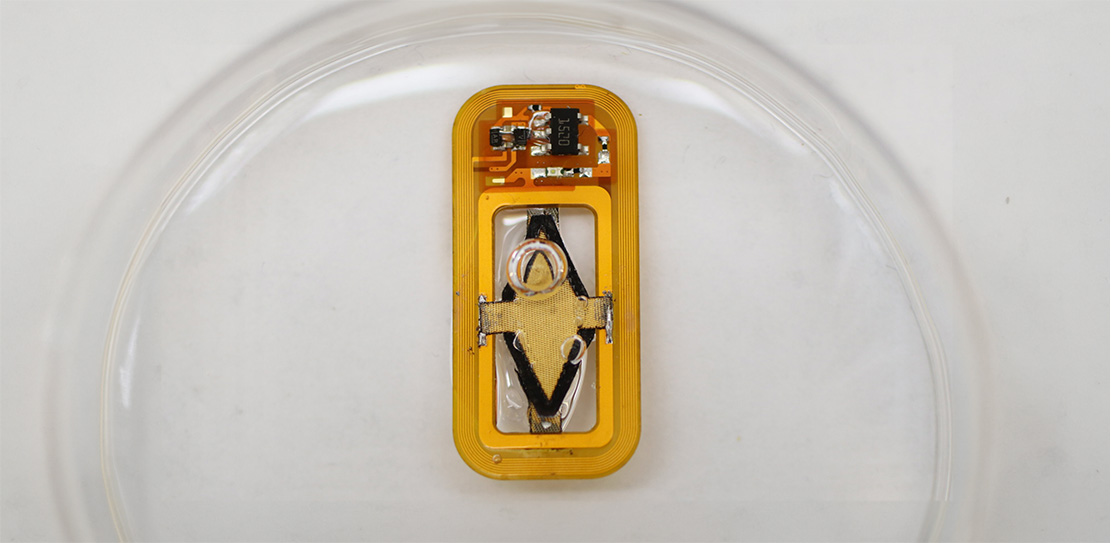 MIT's Implantable Device Offers Hope for Injection-Free Diabetes Treatment