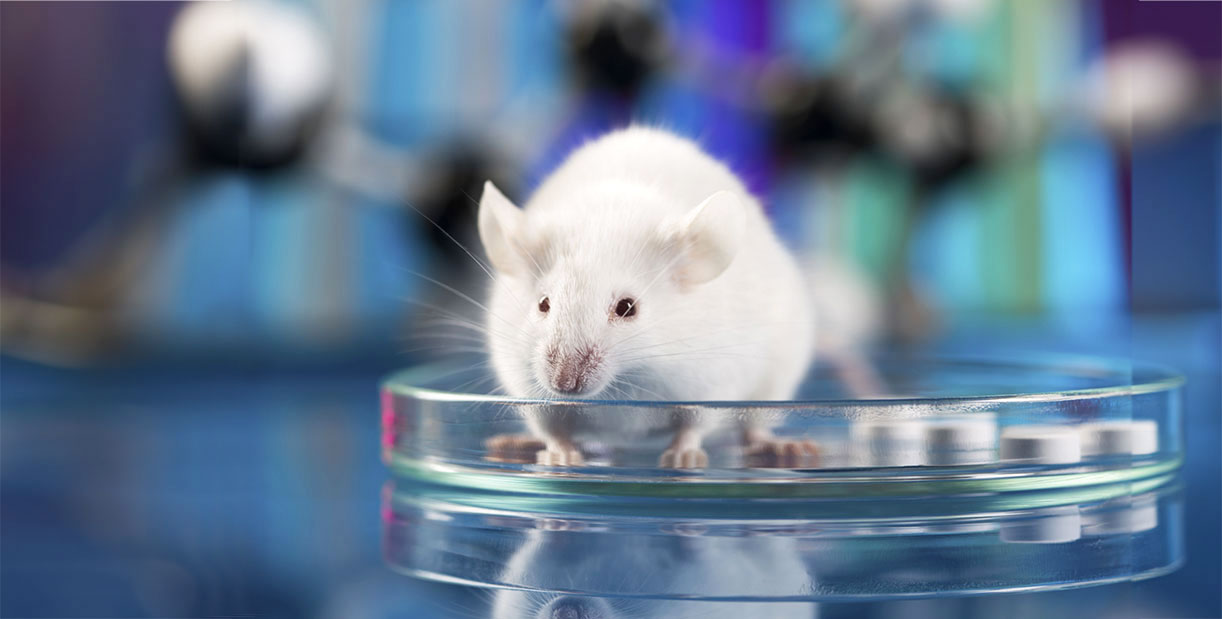 Stanford Researchers Discover Anti-Aging Enzyme and Drug Candidate