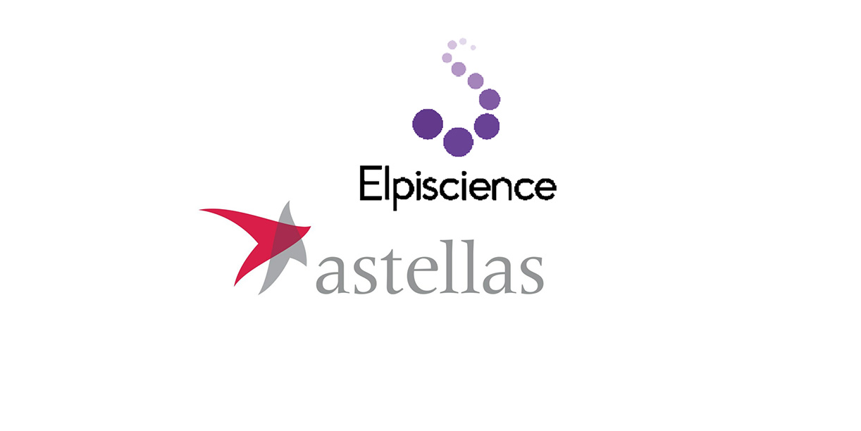 Astellas and Elpiscience Collaborate on Bispecific Macrophage Engager ...