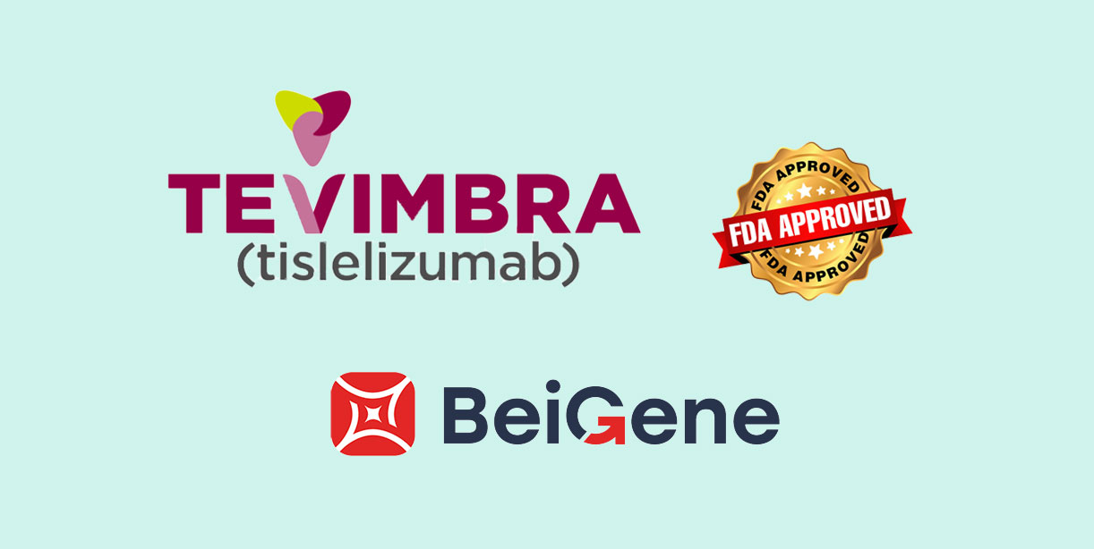 FDA Approves Tevimbra for Advanced Esophageal Squamous Cell Carcinoma ...