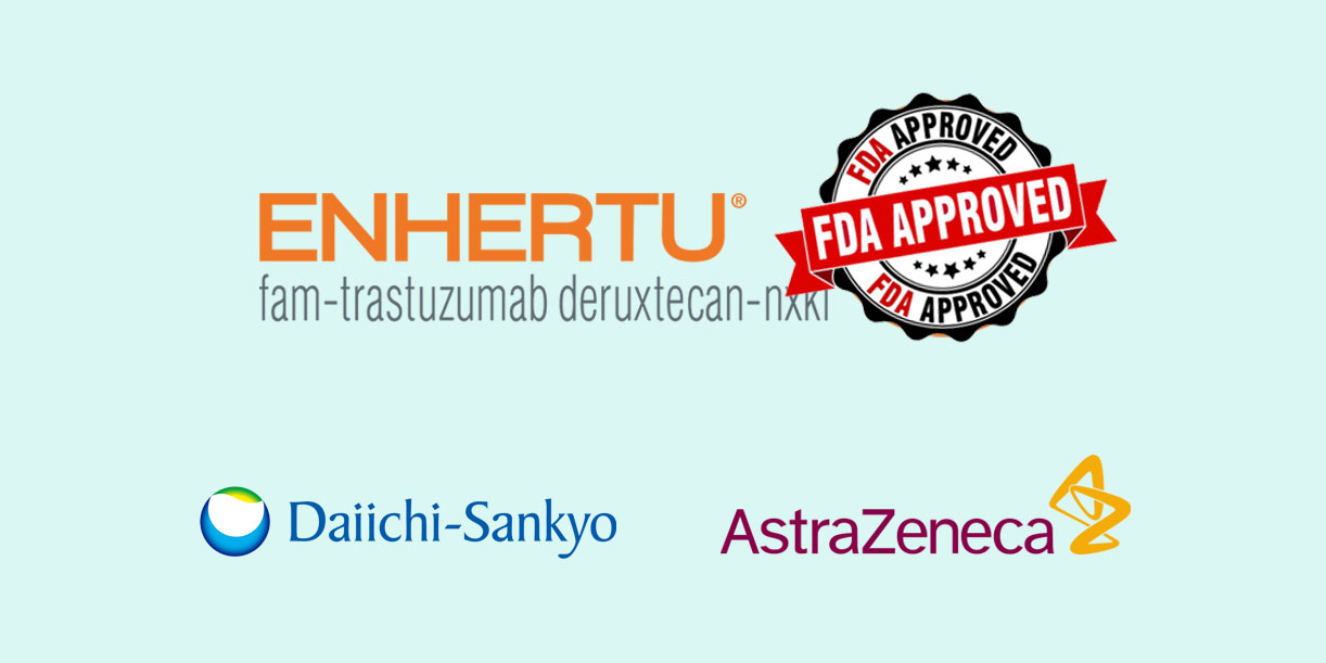 FDA Grants Fast-Track Approval to Enhertu for Treatment of HER2+ Solid ...