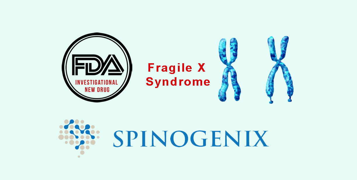 FDA Clears Spinogenix's Phase 2a Trial for Innovative Fragile X ...