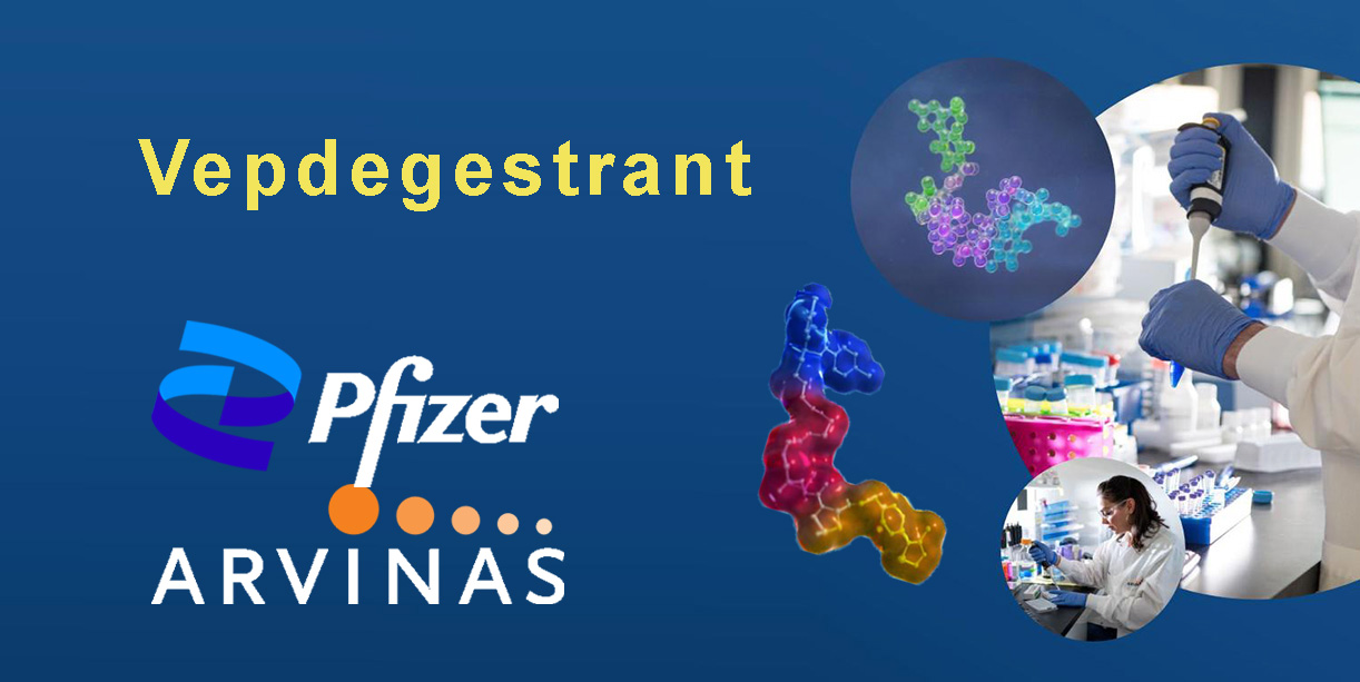 Pfizer Reports Promising Survival Benefits in Vepdegestrant Trial for ...