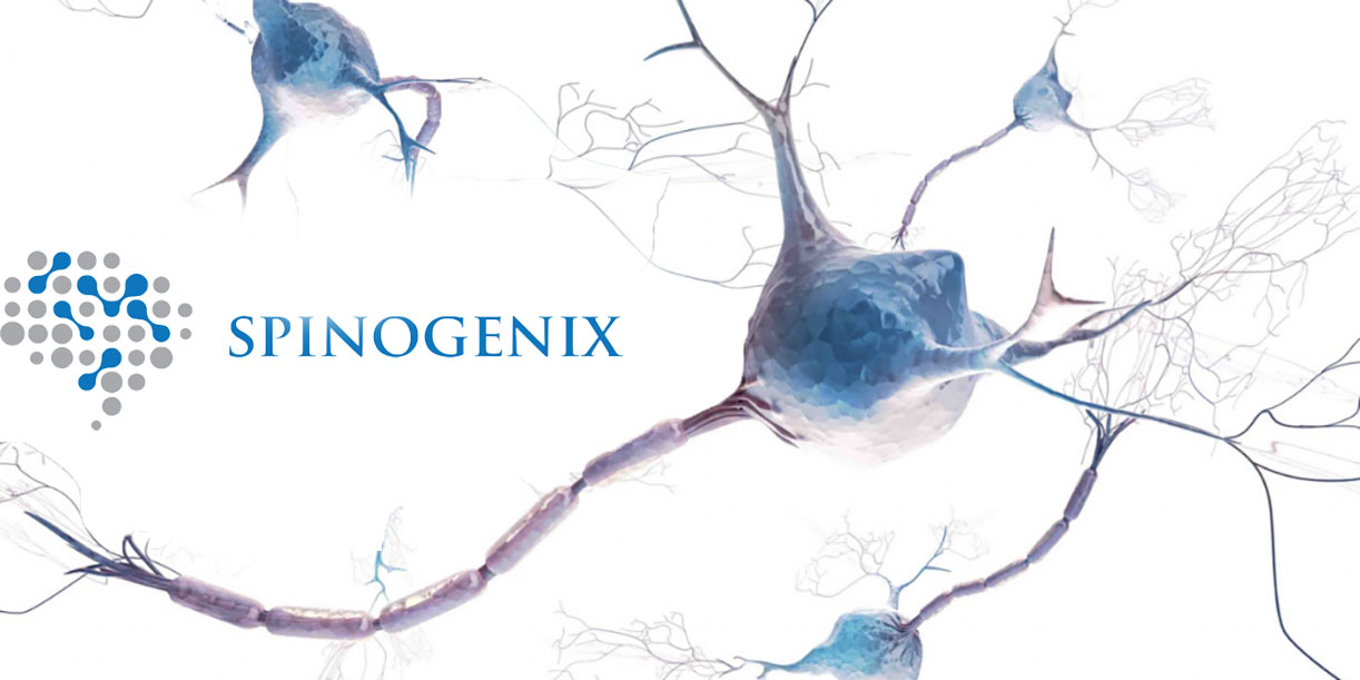Spinogenix's Daily Pill SPG302 Receives FDA IND Nod for ALS Treatment